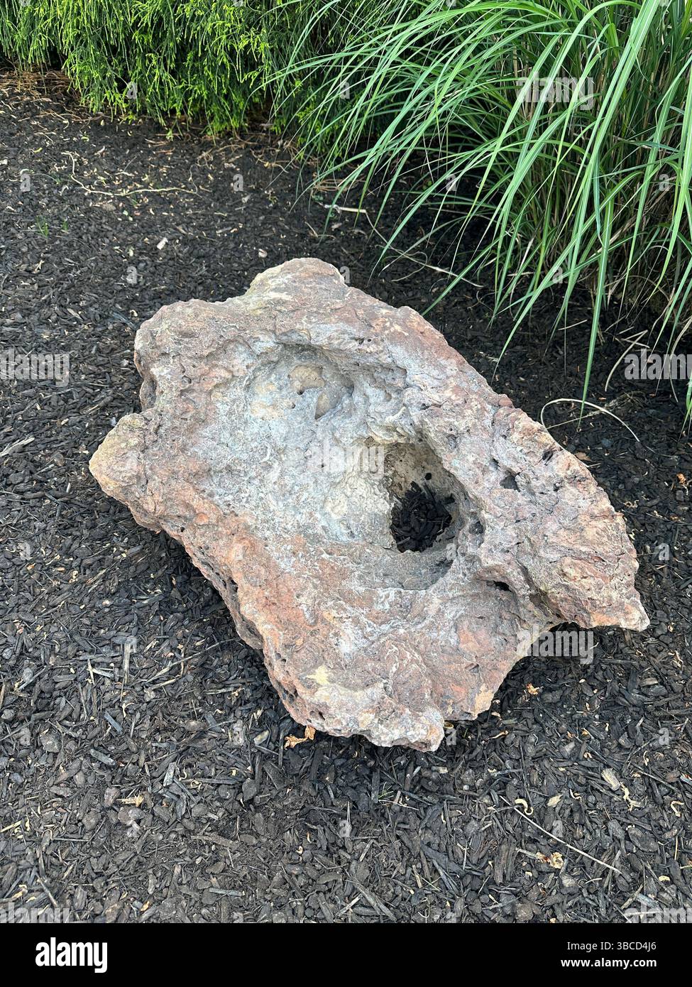 Pot rock - volcanic rocks with holes - in a garden before being filled ...