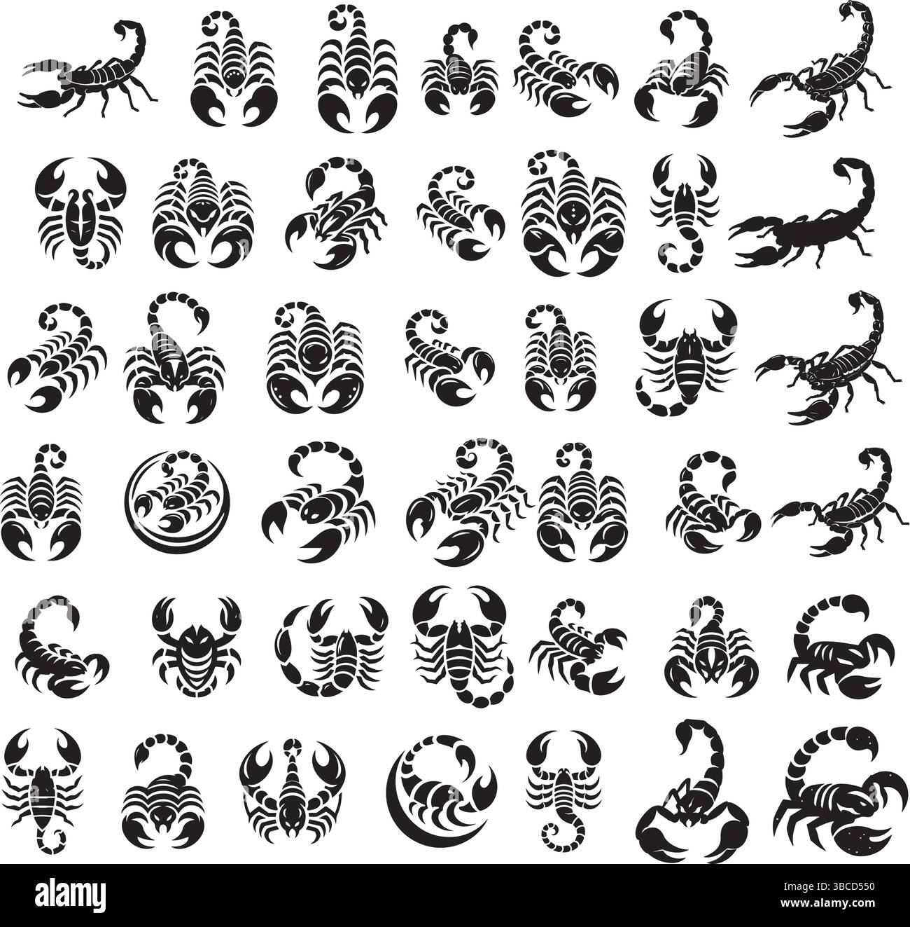 Arachnid logo elements hi-res stock photography and images - Alamy