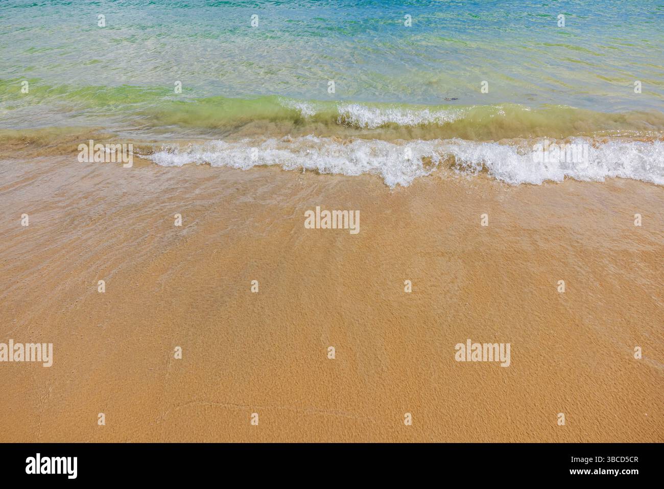 Small wave gently washing golden beach sand at Atlantic Ocean shore on ...