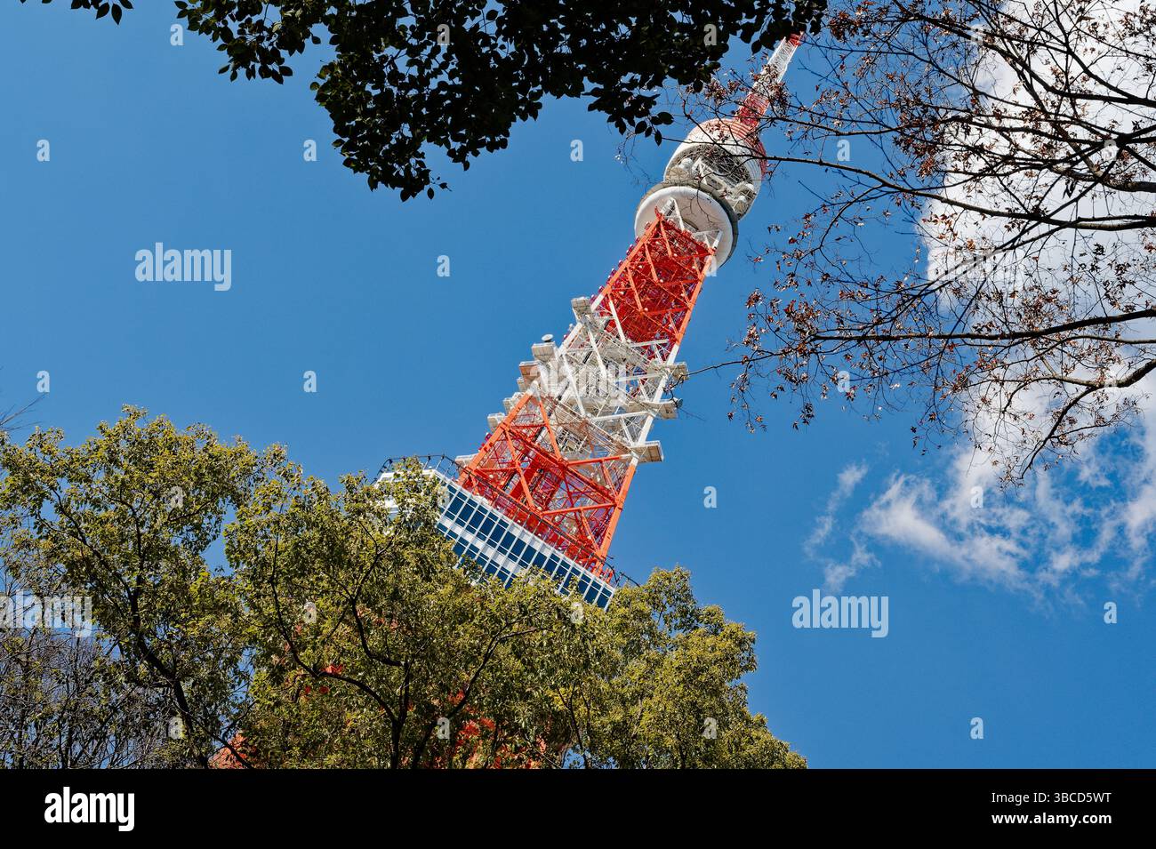 Tokyo Tower stretches skyward through a canopy of trees, framed by ...