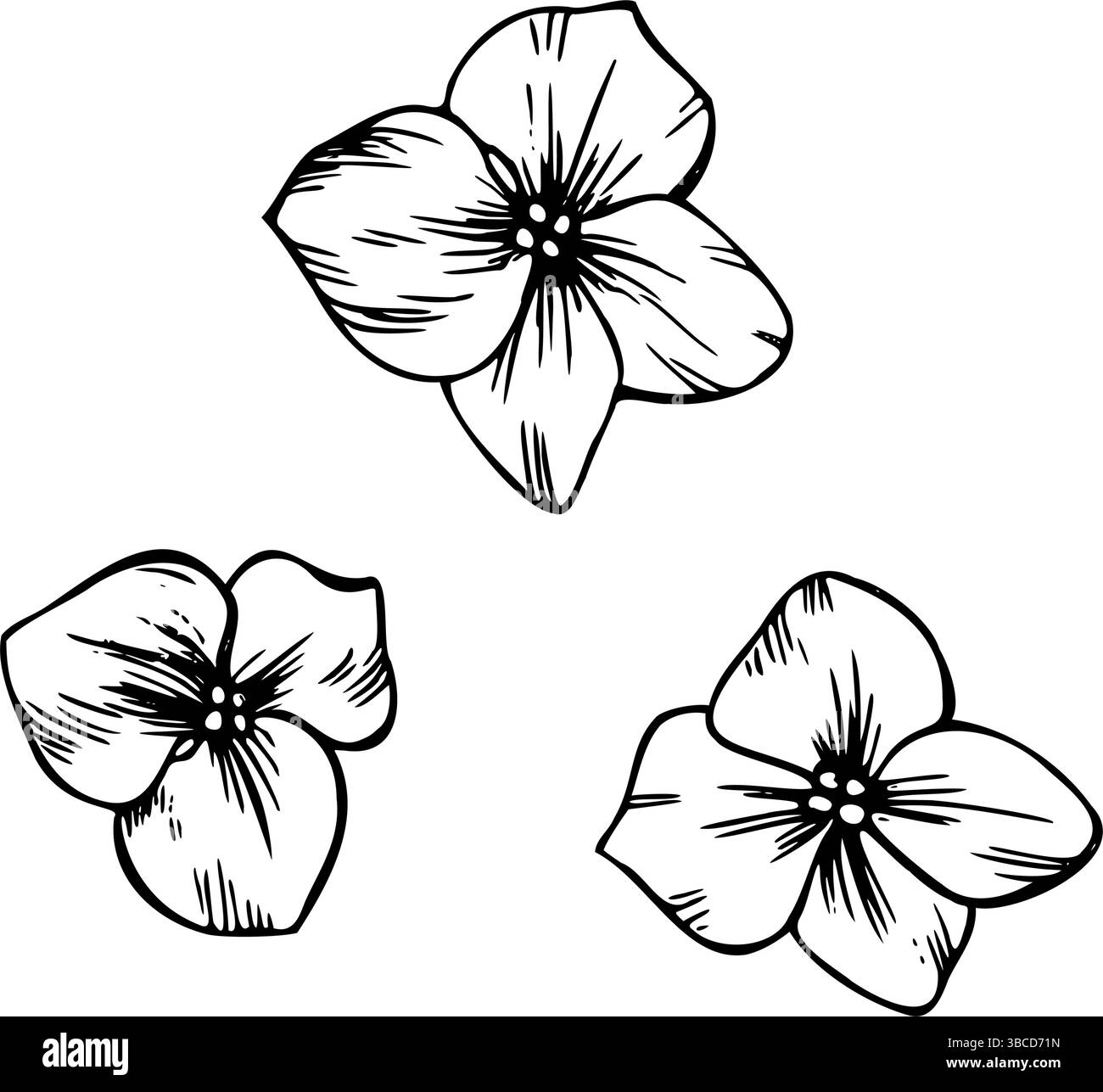 Vector illustration separate elements Black and White Stock Photos ...