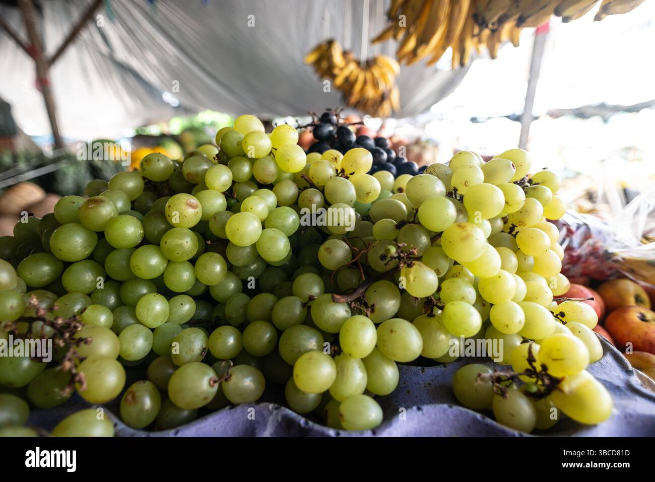 Green grapes for sale at a street market. Fruit source of antioxidants ...