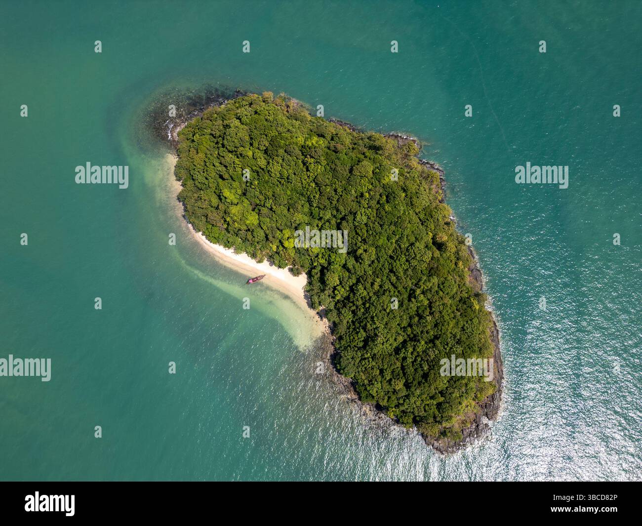 Aerial view of tropical beach and panoramic forest with exotic palm ...