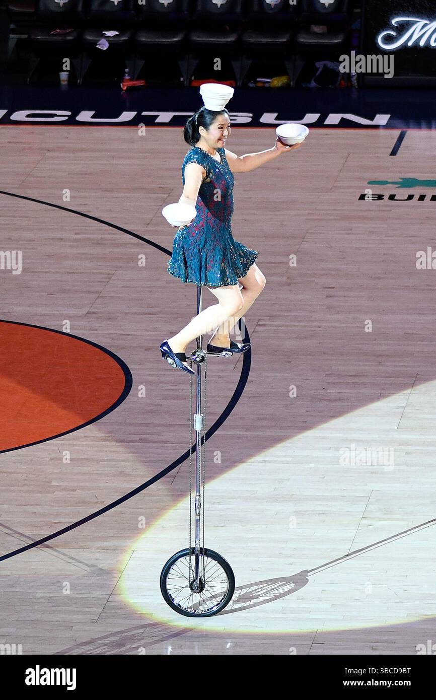 UNCASVILLE, CT - MAY 18: Red Panda performs during halftime of a WNBA ...