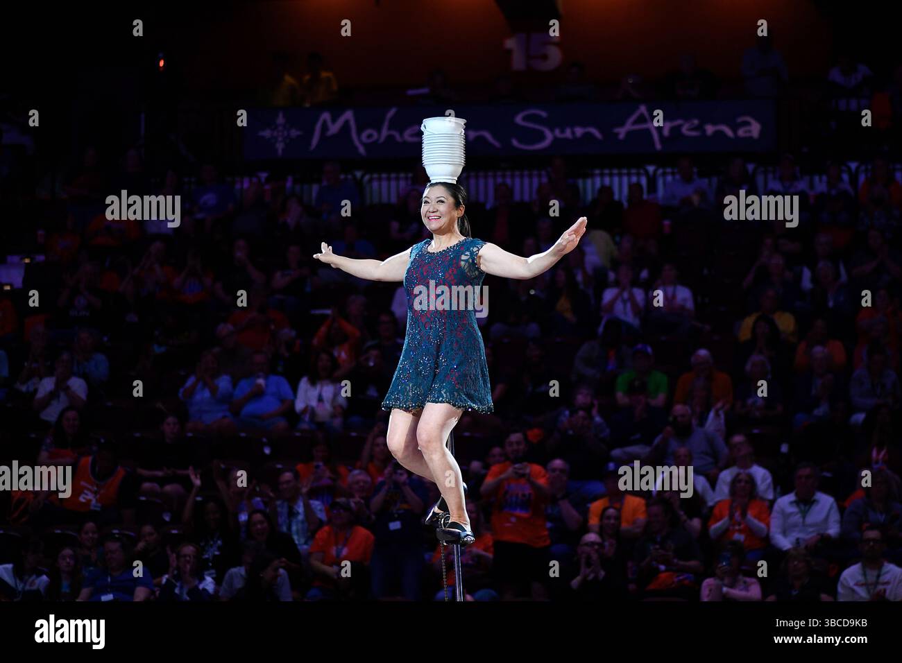 UNCASVILLE, CT - MAY 18: Red Panda performs during halftime of a WNBA ...