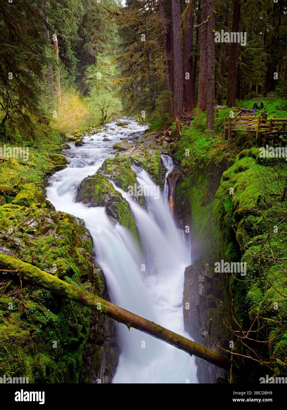The beautiful Sol Duc Falls in the lush and beautiful Olympic National ...