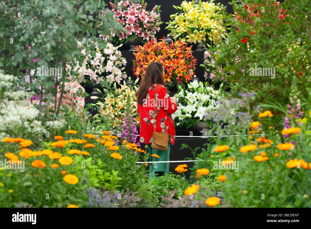 London, UK. 19th May, 2025. At the RHS Chelsea Flower Show preview day ...