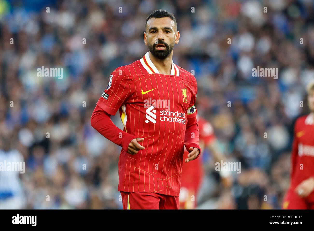 Mohamed Salah in action for Liverpool FC at the AMEX Stadium in ...