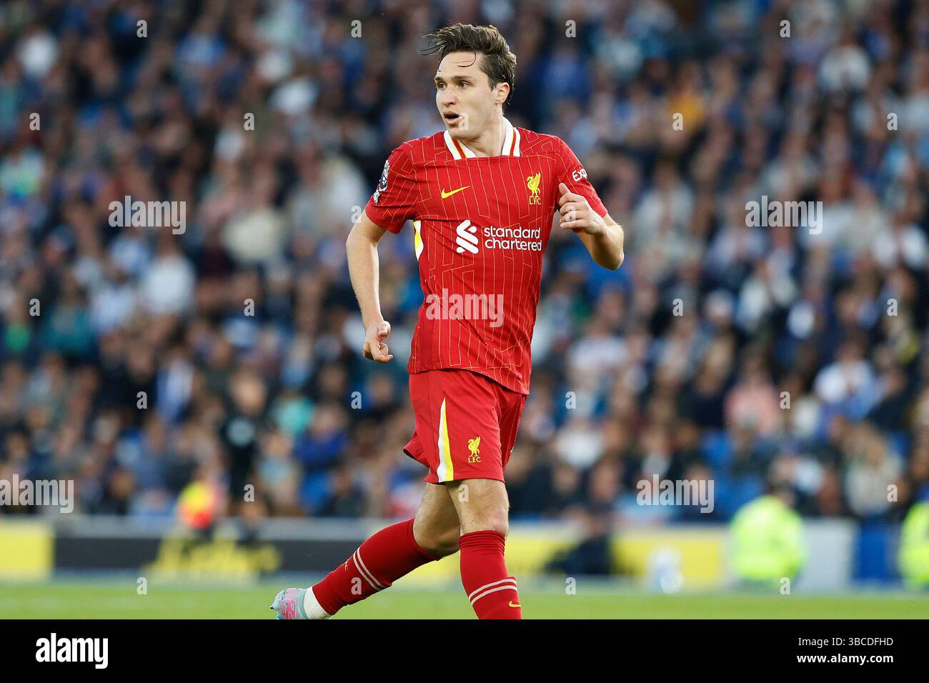 Federico Chiesa in action for Liverpool FC at the AMEX Stadium in ...