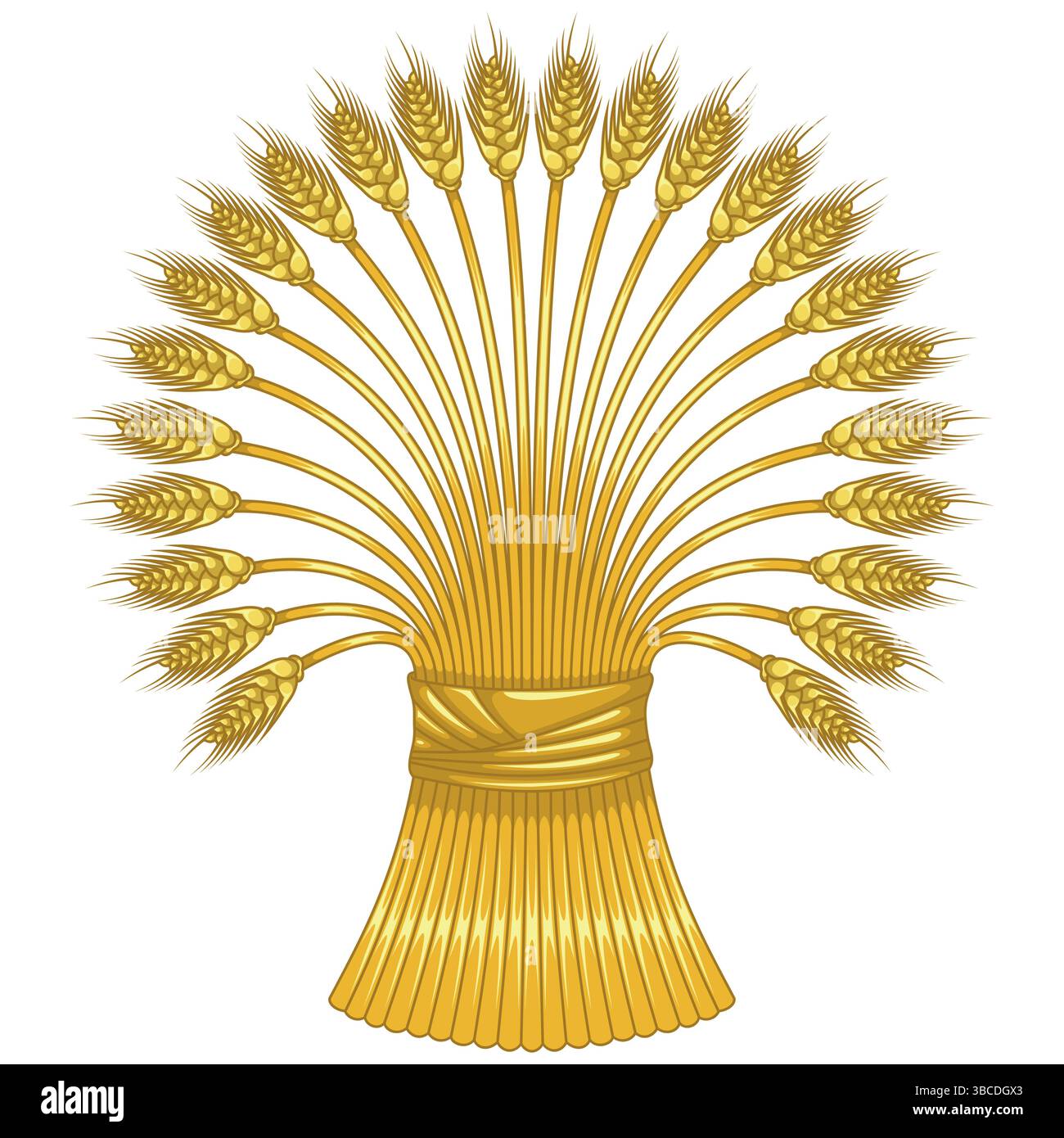 Wheat ears, Organic Farm Cereal Sheaf, Field product for flour creation ...