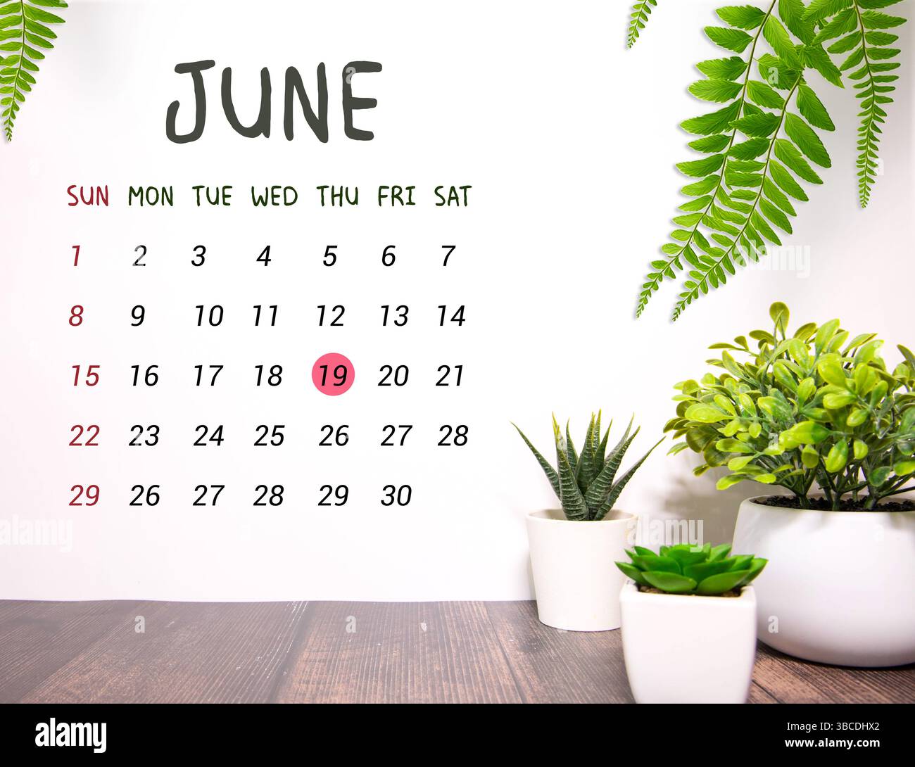 June 19- from wooden blocks with letters, important date concept, white ...