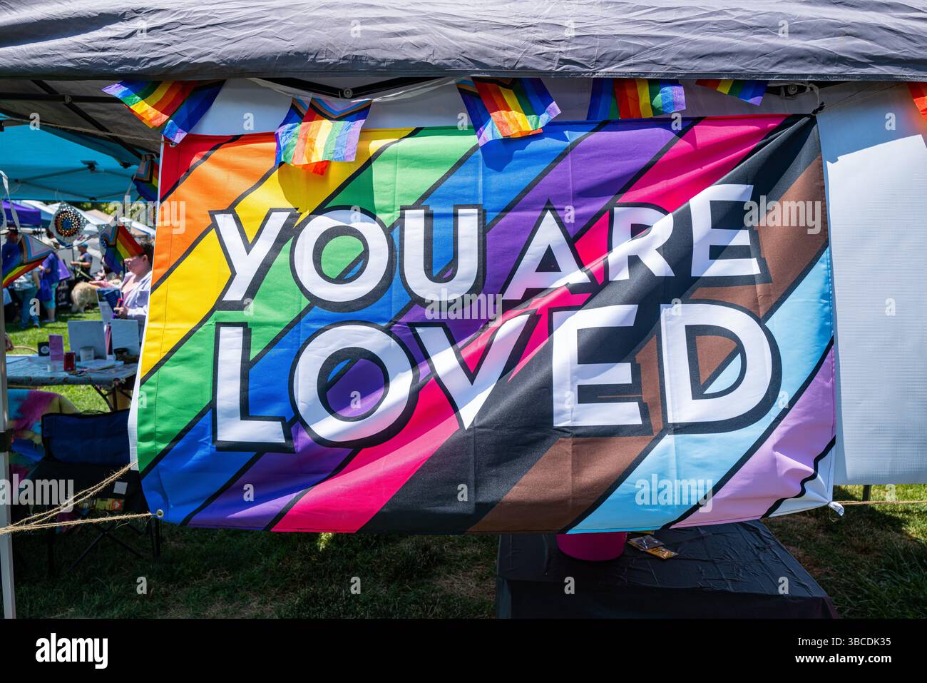 A colorful Progress Pride "You are Loved" flag is one of many hanging ...