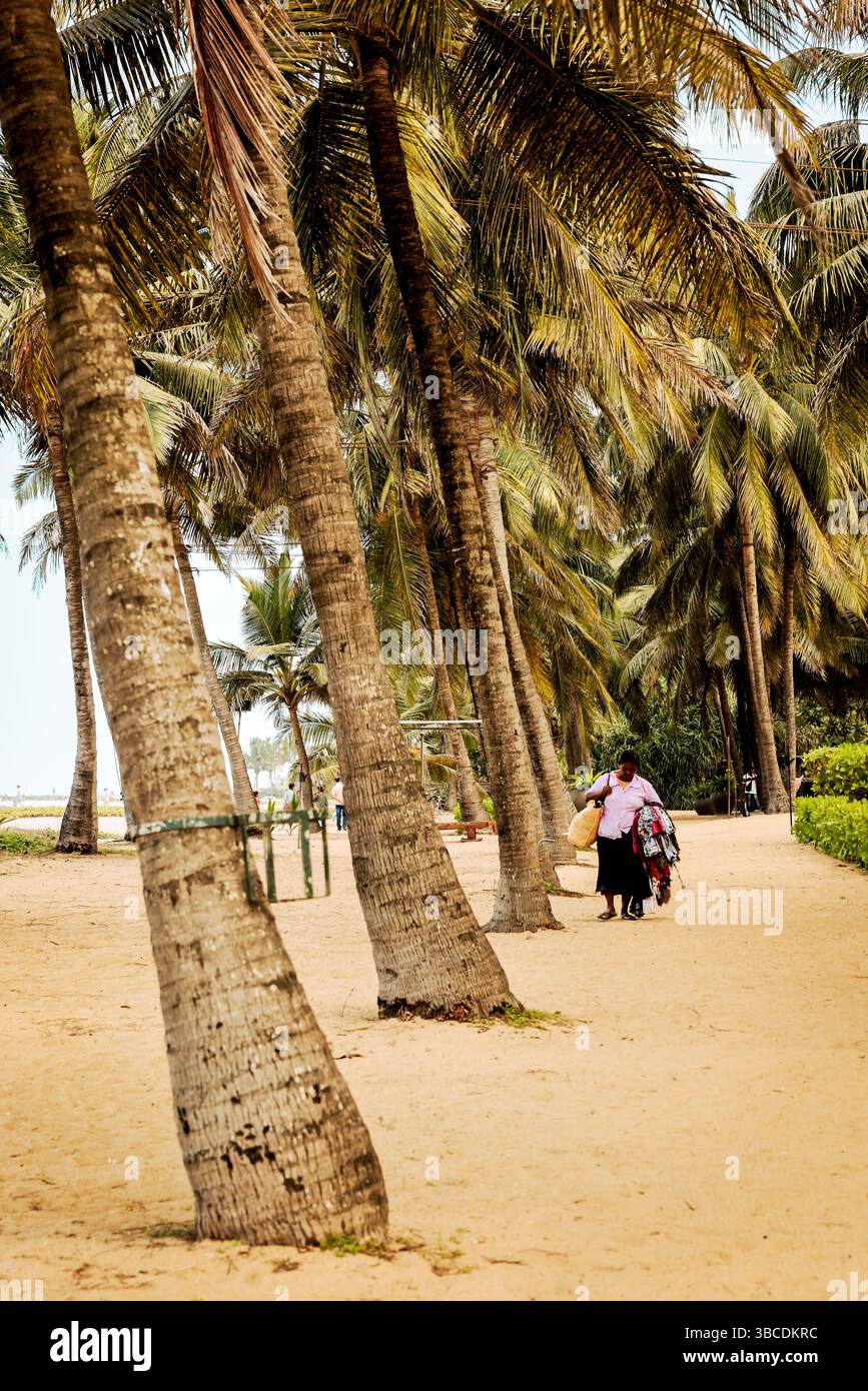 Negombo, Sri Lanka - February 23, 2025: Fishermen and vendors along the ...