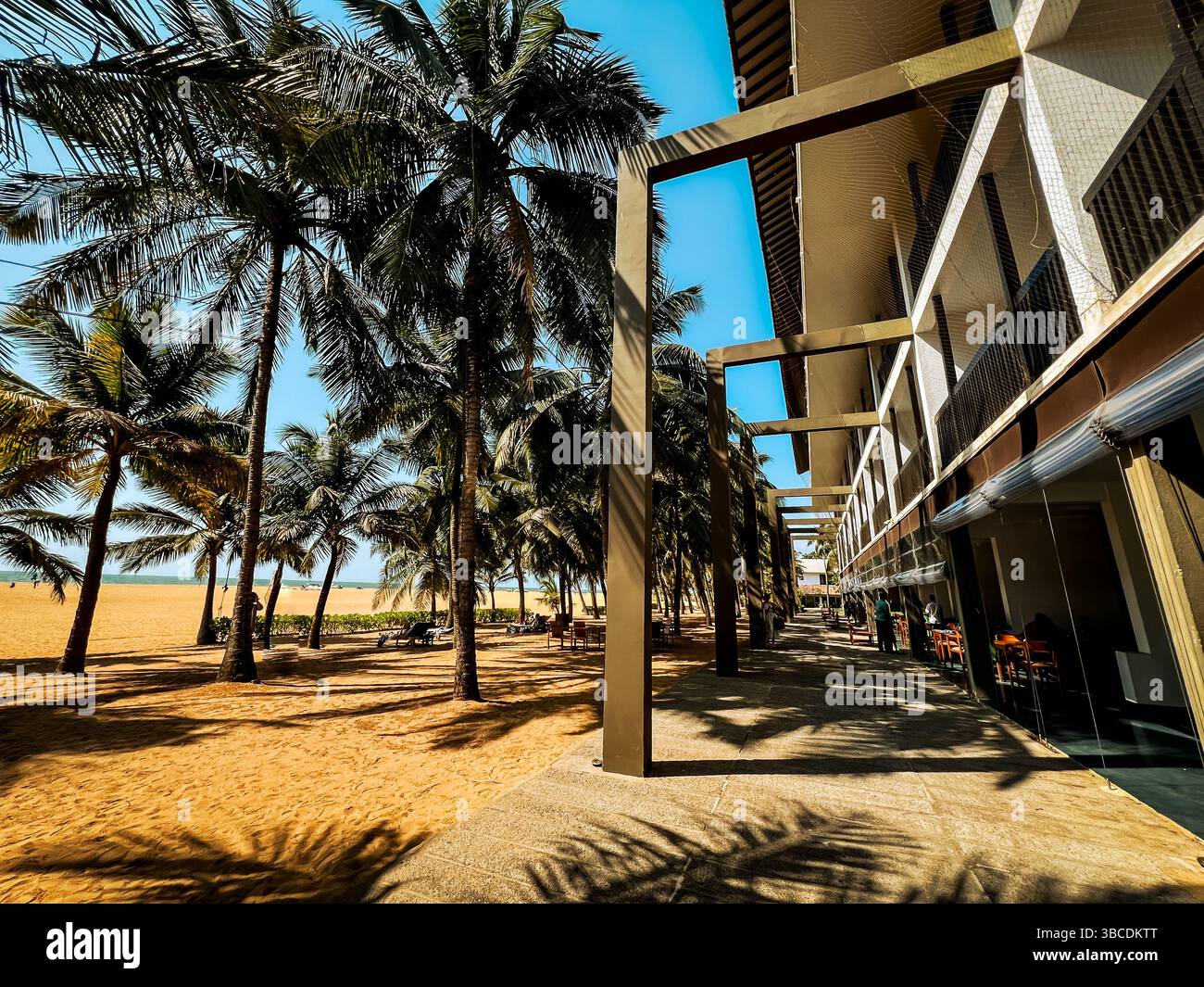 Negombo, Sri Lanka - February 23, 2025: The swimming pool and resort ...