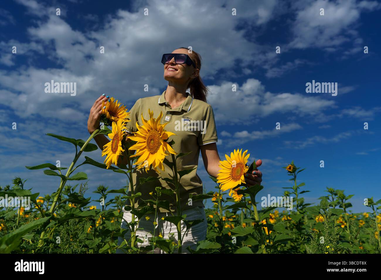 a middle-aged woman hugs and admires sunflowers growing in a field on a ...