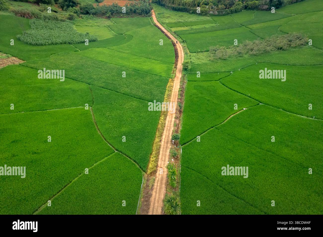 Aerial view of green rice fields in Yen Bai commune, Ba Vi district ...