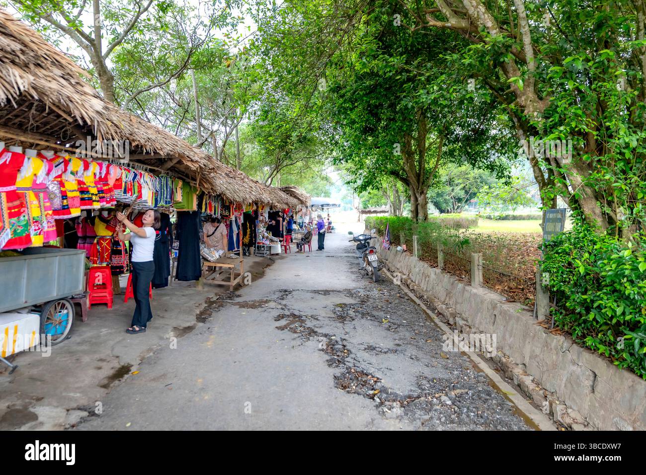 Tan Trao Banyan Tree, April 26, 2025: souvenir shop in Tan Trao Commune ...