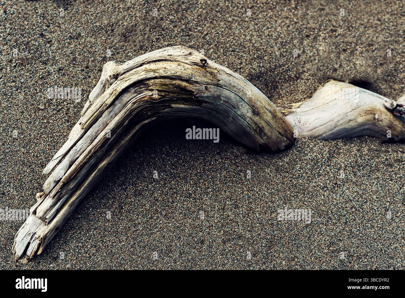 a decorative structure of wood with fibers, parts of the trunk of a ...