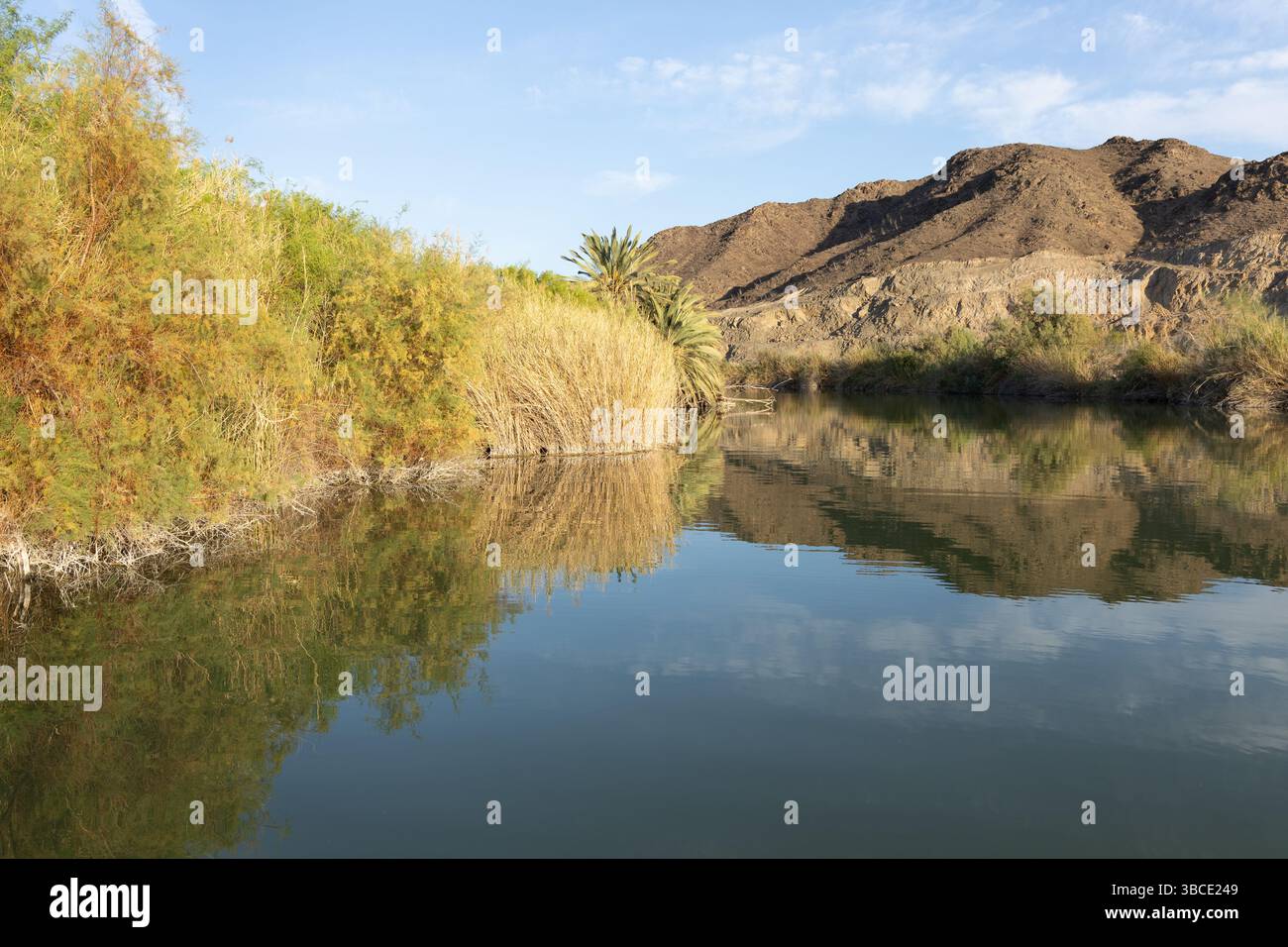 Mittry lake wildlife area hi-res stock photography and images - Alamy