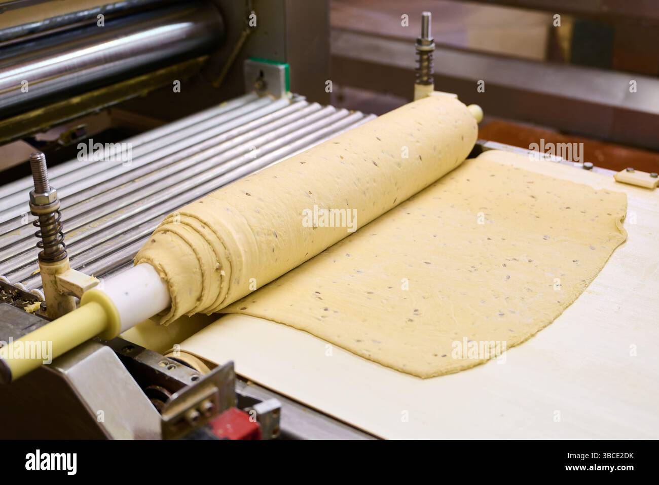 Sheeted cracker dough rolled into a cylinder ready for cutting into ...