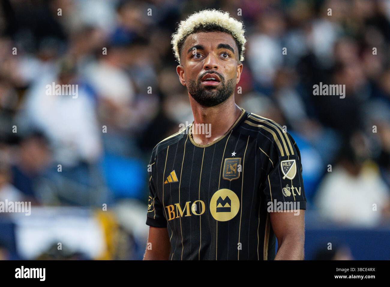 Timothy tillman 2025 hi-res stock photography and images - Alamy