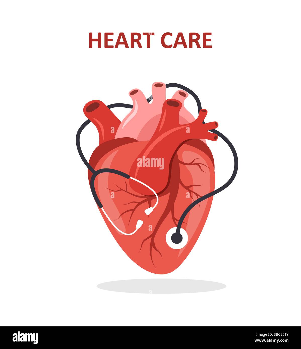 Heart care concept. Medical check up. Big realistic heart with ...