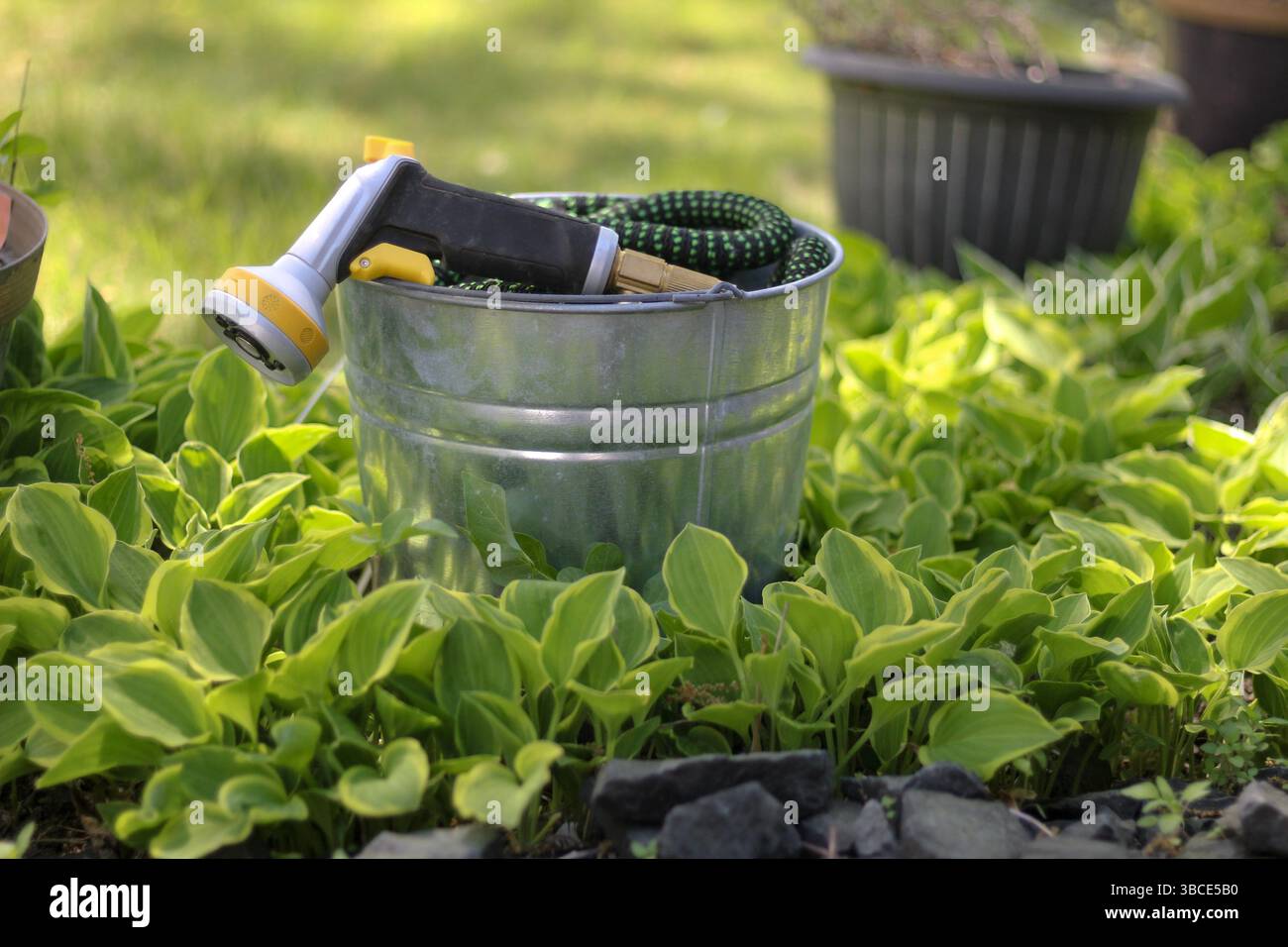 a coiled expandable garden hose and spray nozzle inside a metal bucket ...