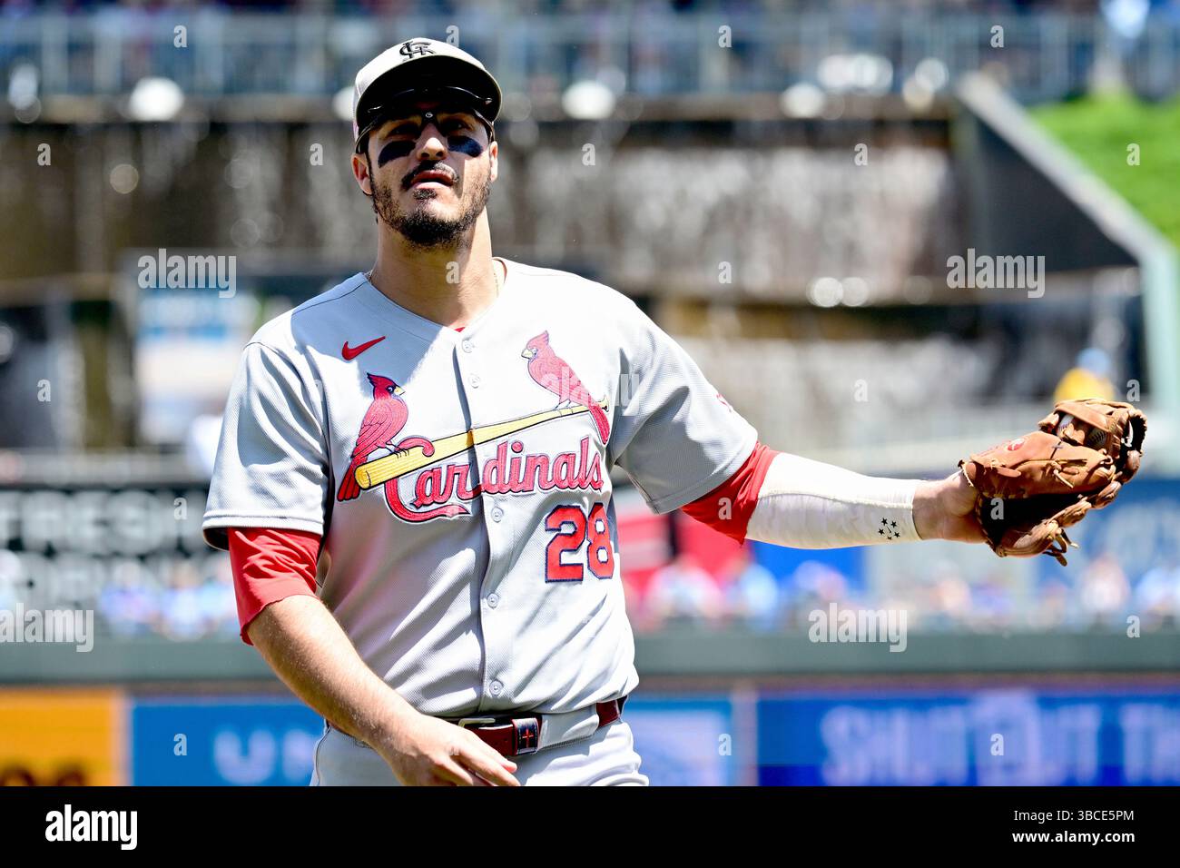 KANSAS CITY, MO - MAY 18: St. Louis Cardinals third baseman Nolan ...
