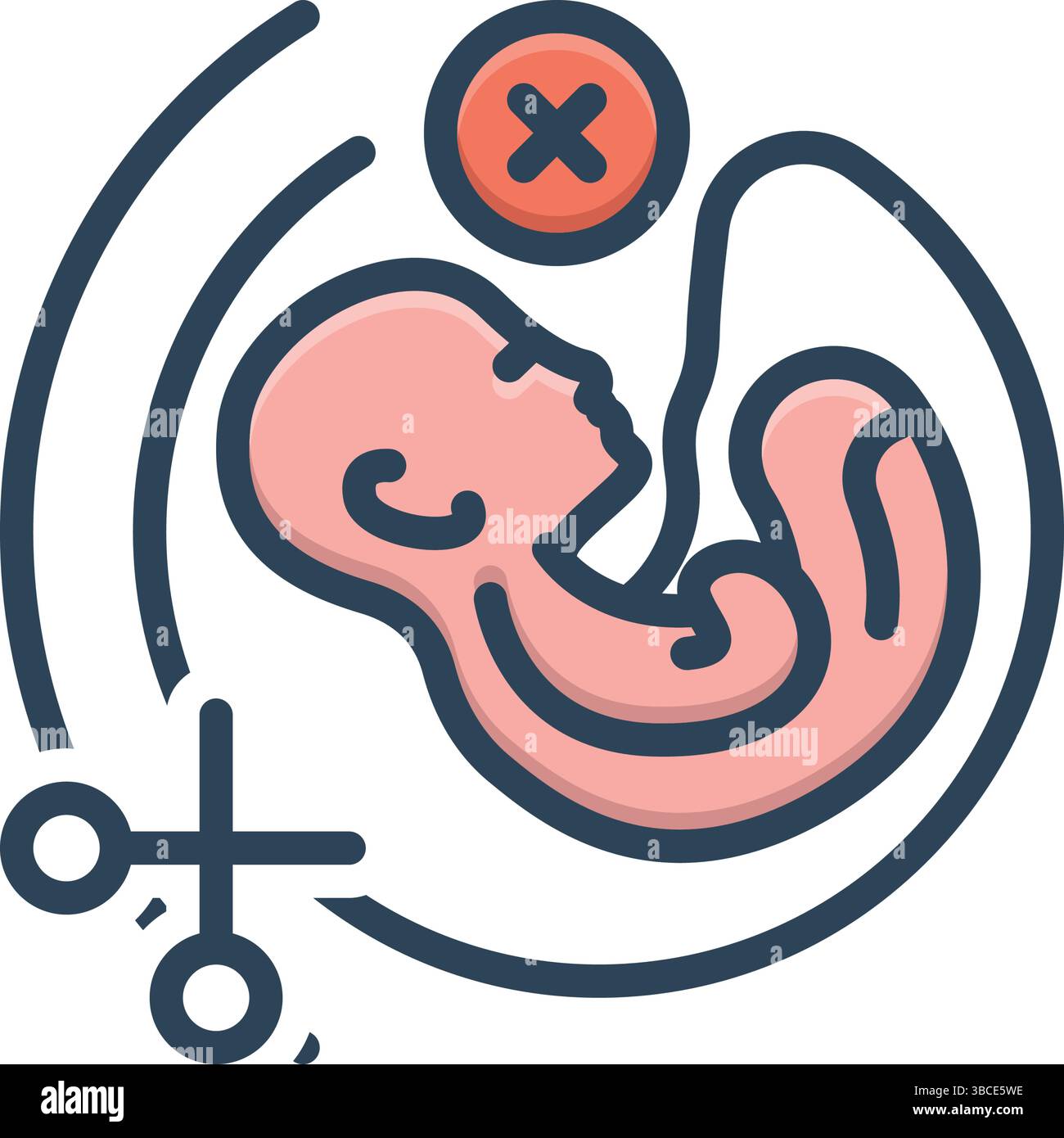 Fetal demise Stock Vector Images - Alamy