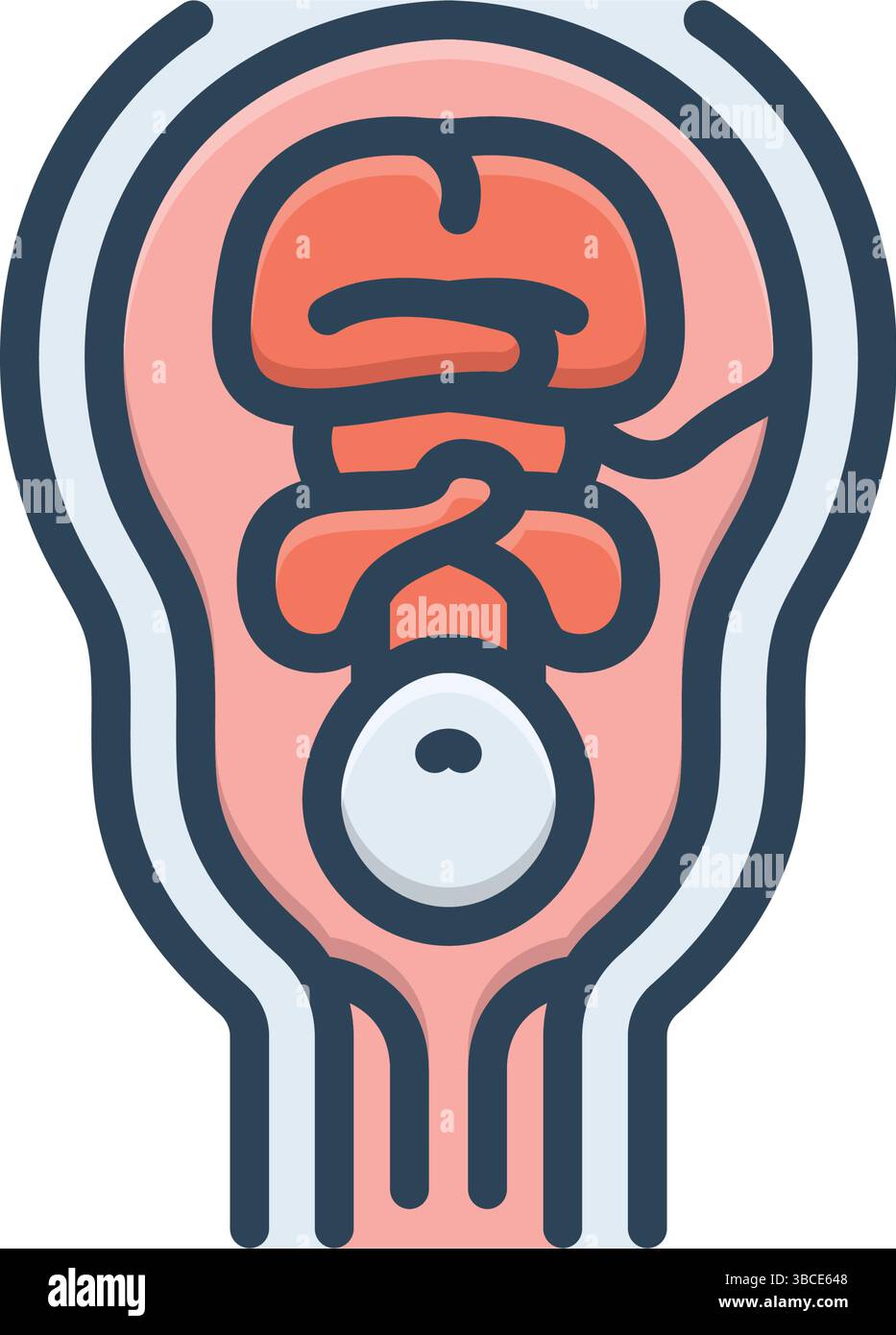 Icon for stillbirth, intrauterine Stock Vector Image & Art - Alamy
