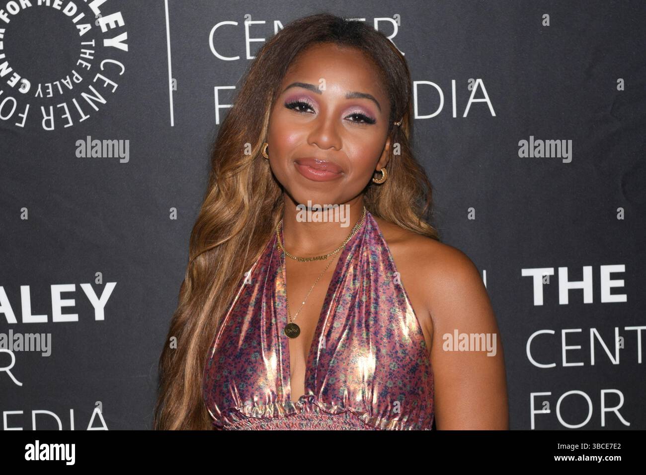 New York, USA. 19th May, 2025. Somara Theodore attends the 2025 Paley ...