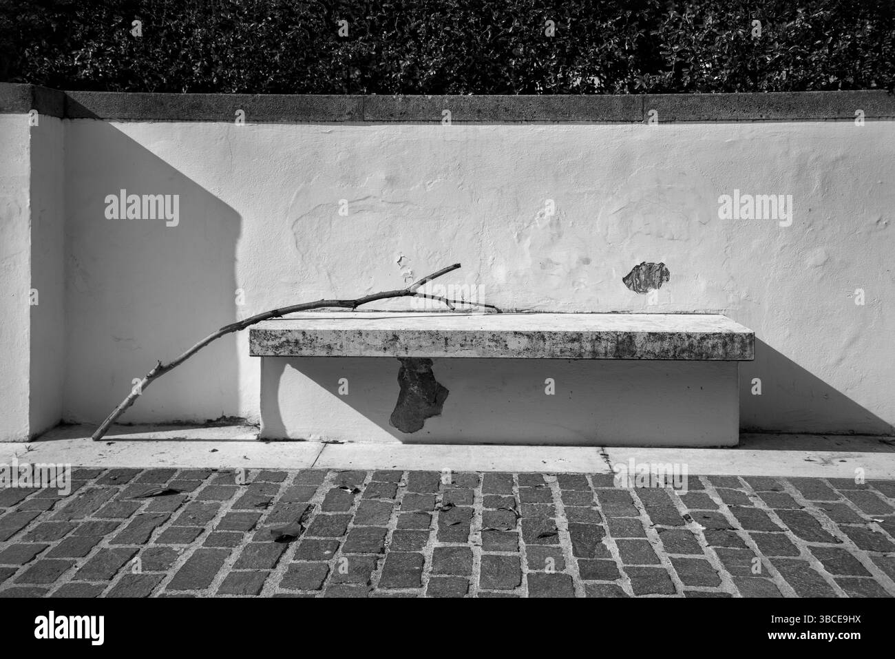 Stone bench with a dry branch Stock Photo - Alamy