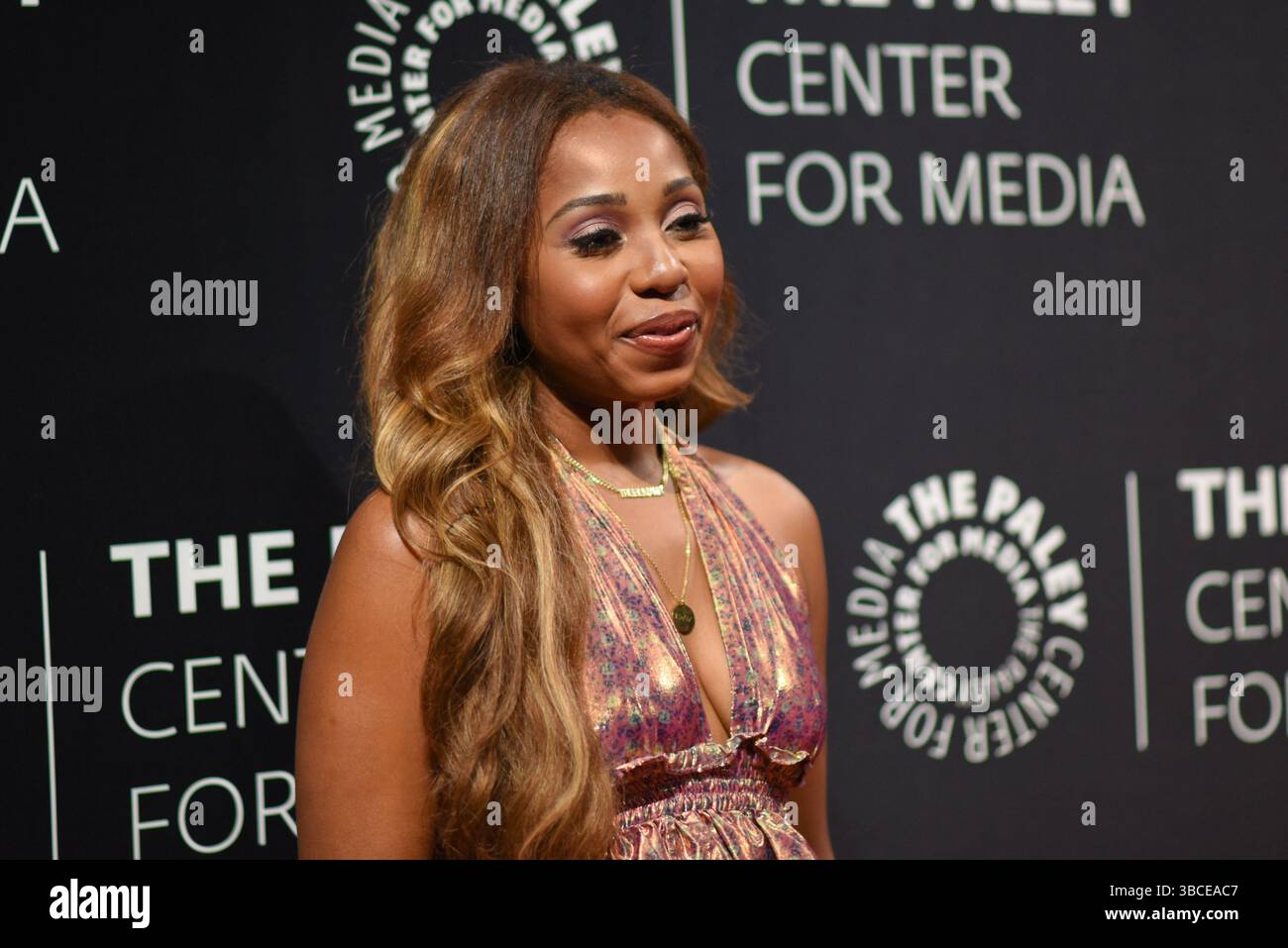 New York, USA. 19th May, 2025. Somara Theodore attends the 2025 Paley ...