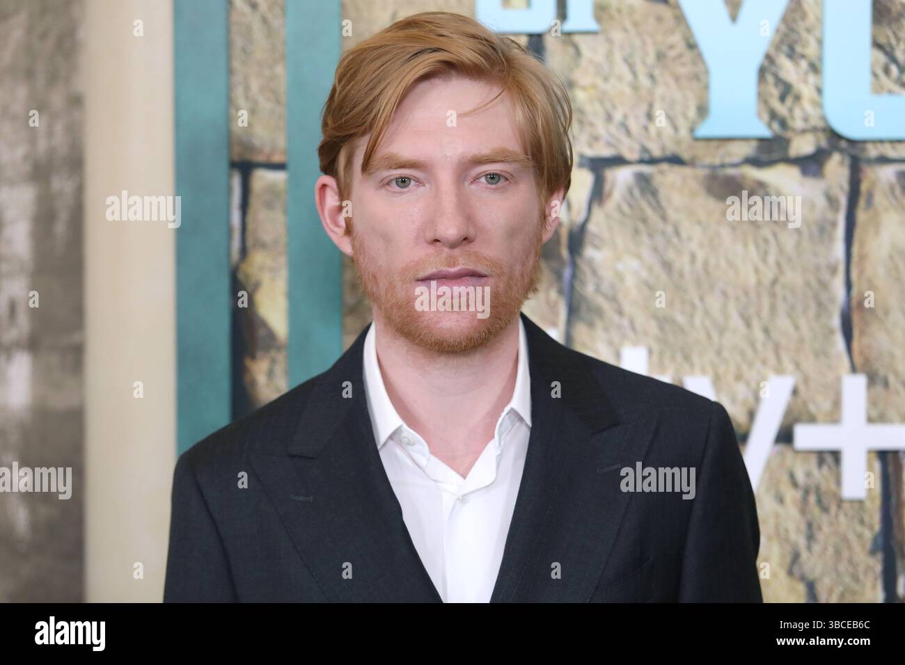 New York, New York, USA. 19 May 2025. Domhnall Gleeson attends the ...