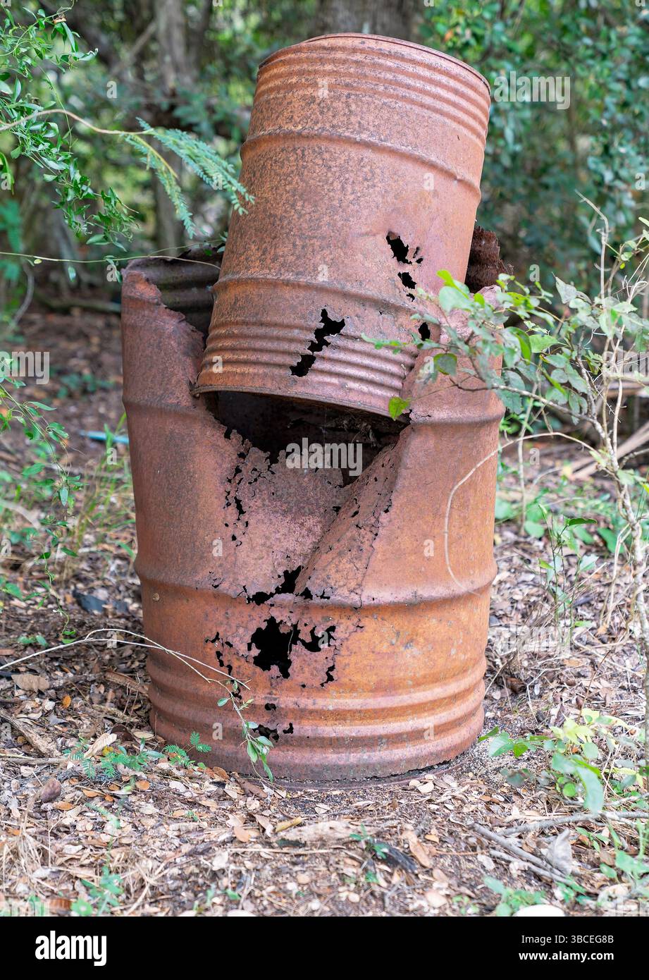Abandoned barrels showing extreme decay in bushland Stock Photo - Alamy