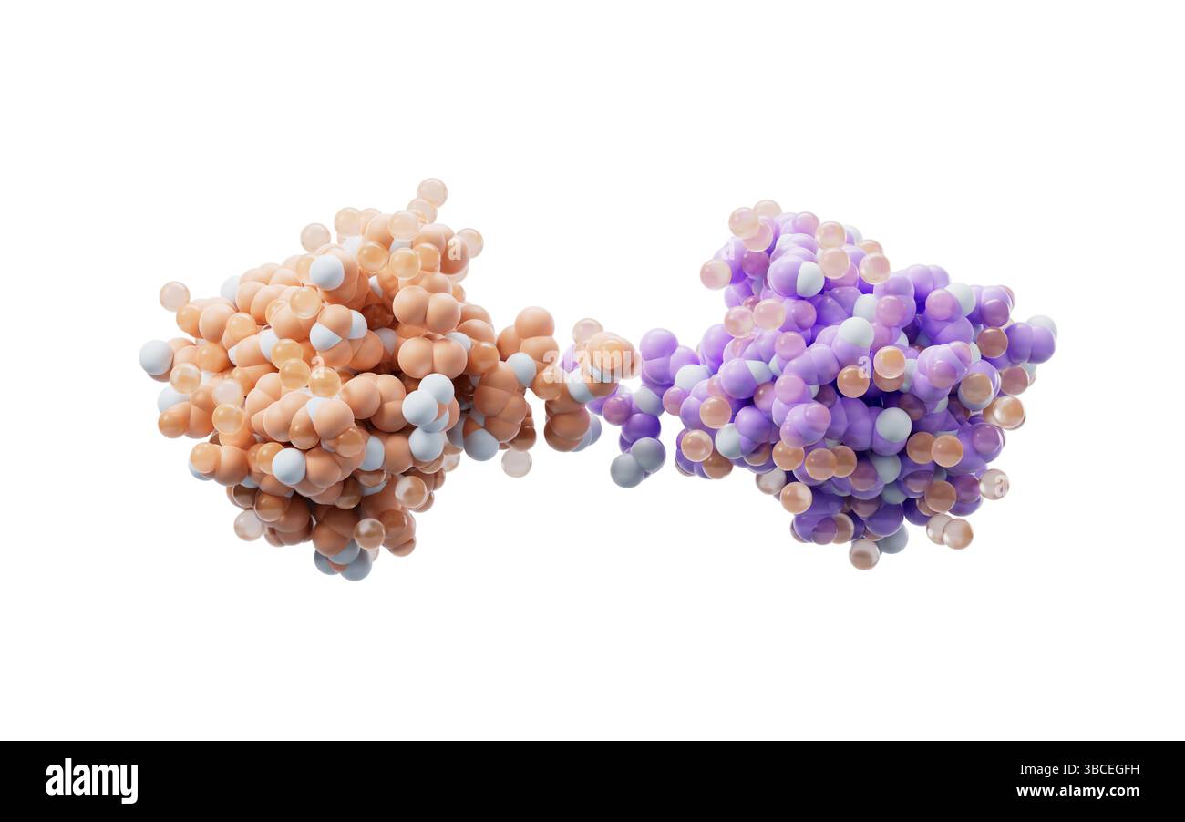 Biological organic protein structure, 3d rendering. 3D illustration ...