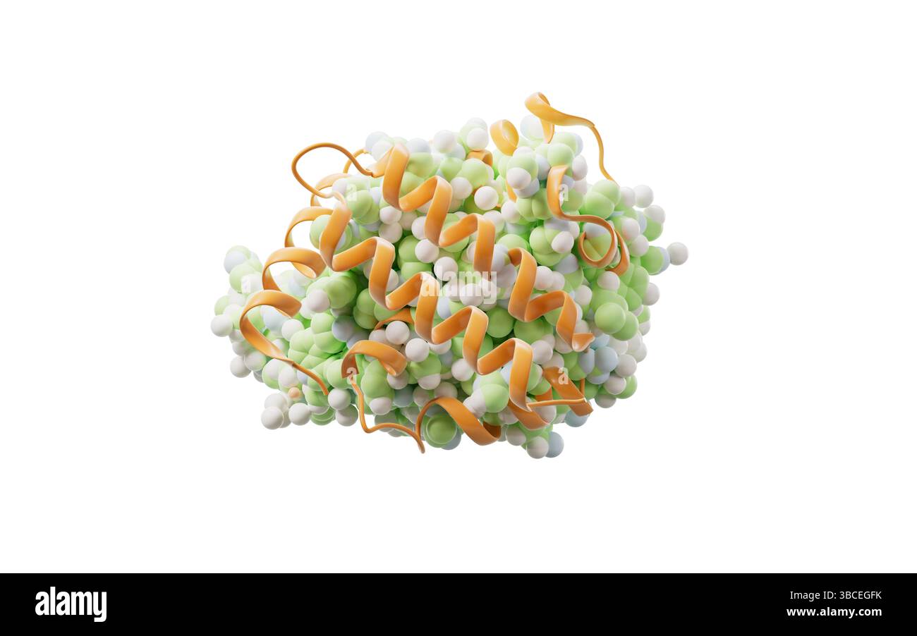 Biological organic protein structure, 3d rendering. 3D illustration ...