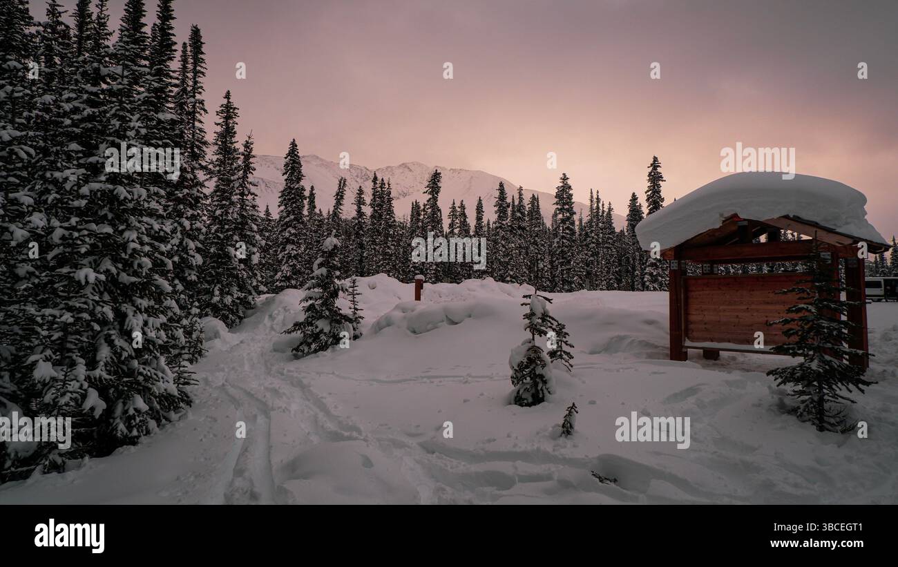 Beautiful sunrise photo at the entrance of the Peyto Lake Overlook ...
