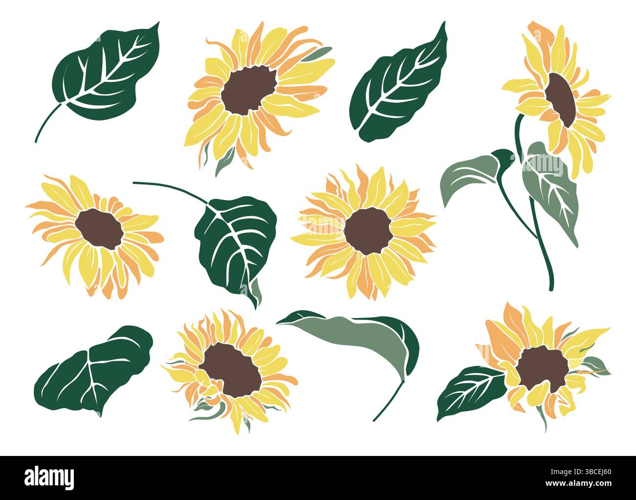 Hand drawn yellow sunflower vector set isolated Stock Vector Image ...