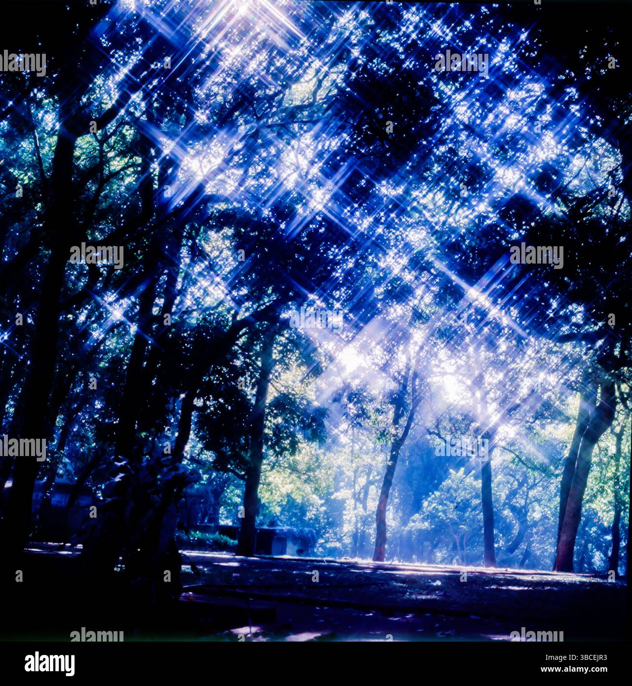 Sun rays effect hi-res stock photography and images - Alamy