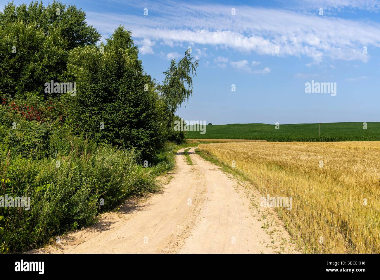 Gravel highway in rural areas , a simple primitive road for the ...