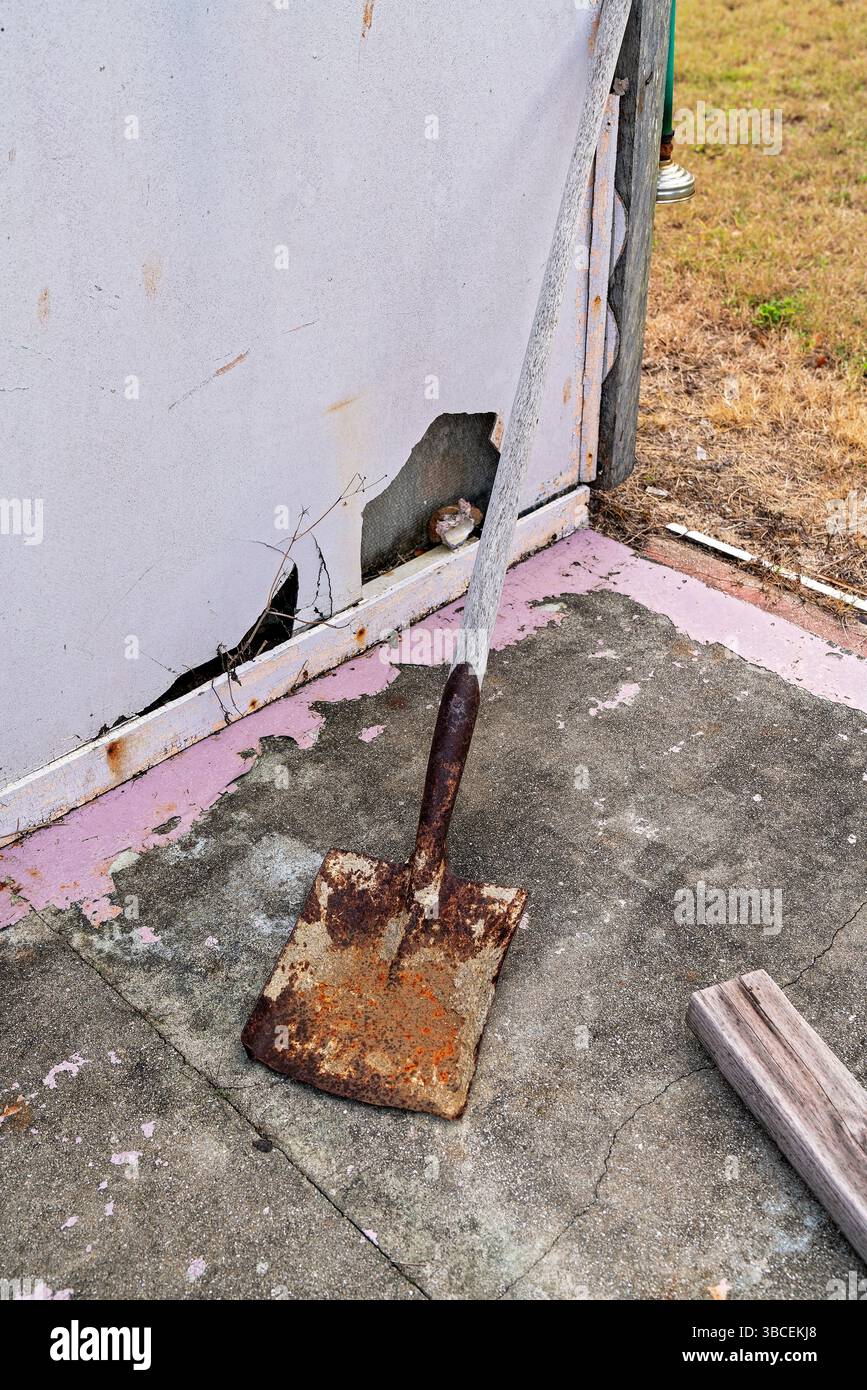 The scene captures decay and neglect on an outdoor concrete slab beside ...