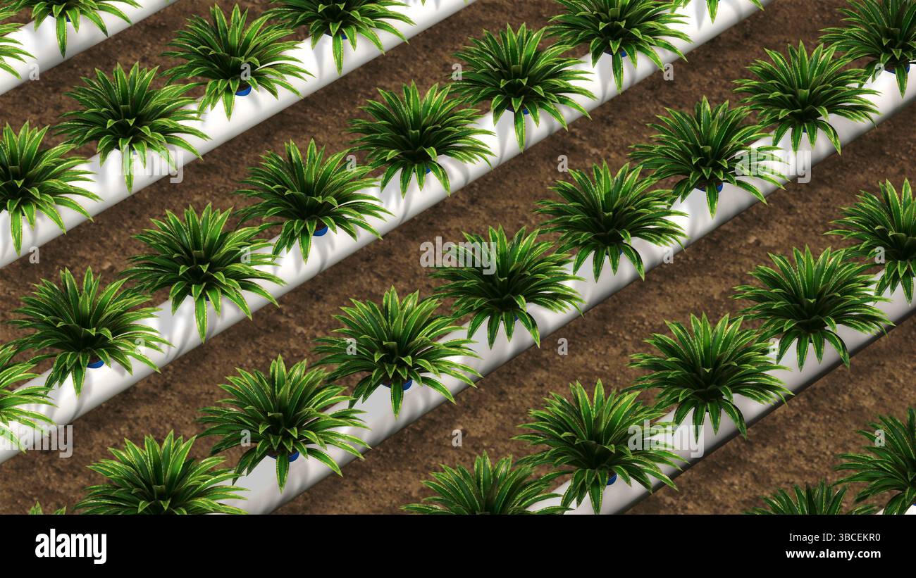 Automated Hydroponic Farming System for Sustainable Indoor Cultivation ...