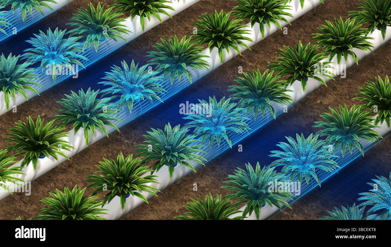 High tech innovation in agriculture hi-res stock photography and images ...