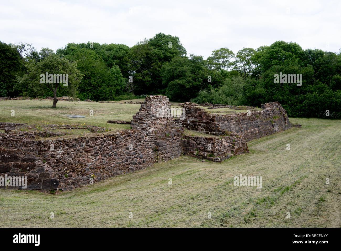 Weoley Castle ruins, Birmingham, West Midlands, England, UK Stock Photo ...