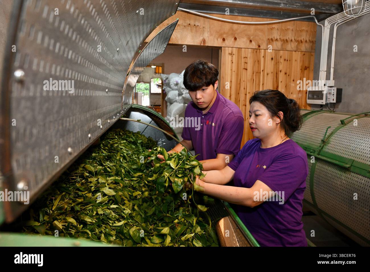 (250520) -- WUYISHAN, May 20, 2025 (Xinhua) -- A tea technician ...