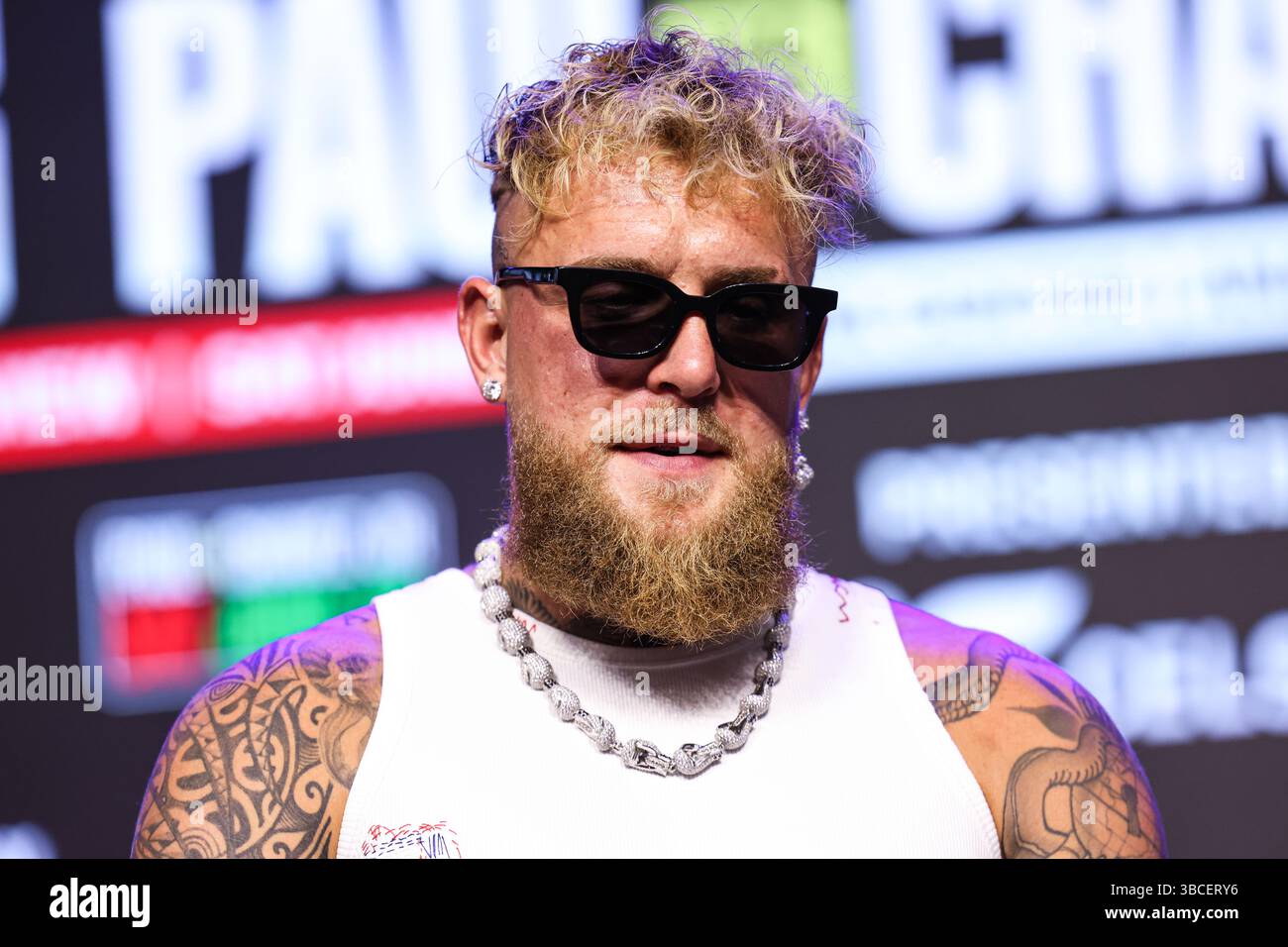 HOLLYWOOD, LOS ANGELES, CALIFORNIA, USA - MAY 14: American professional ...