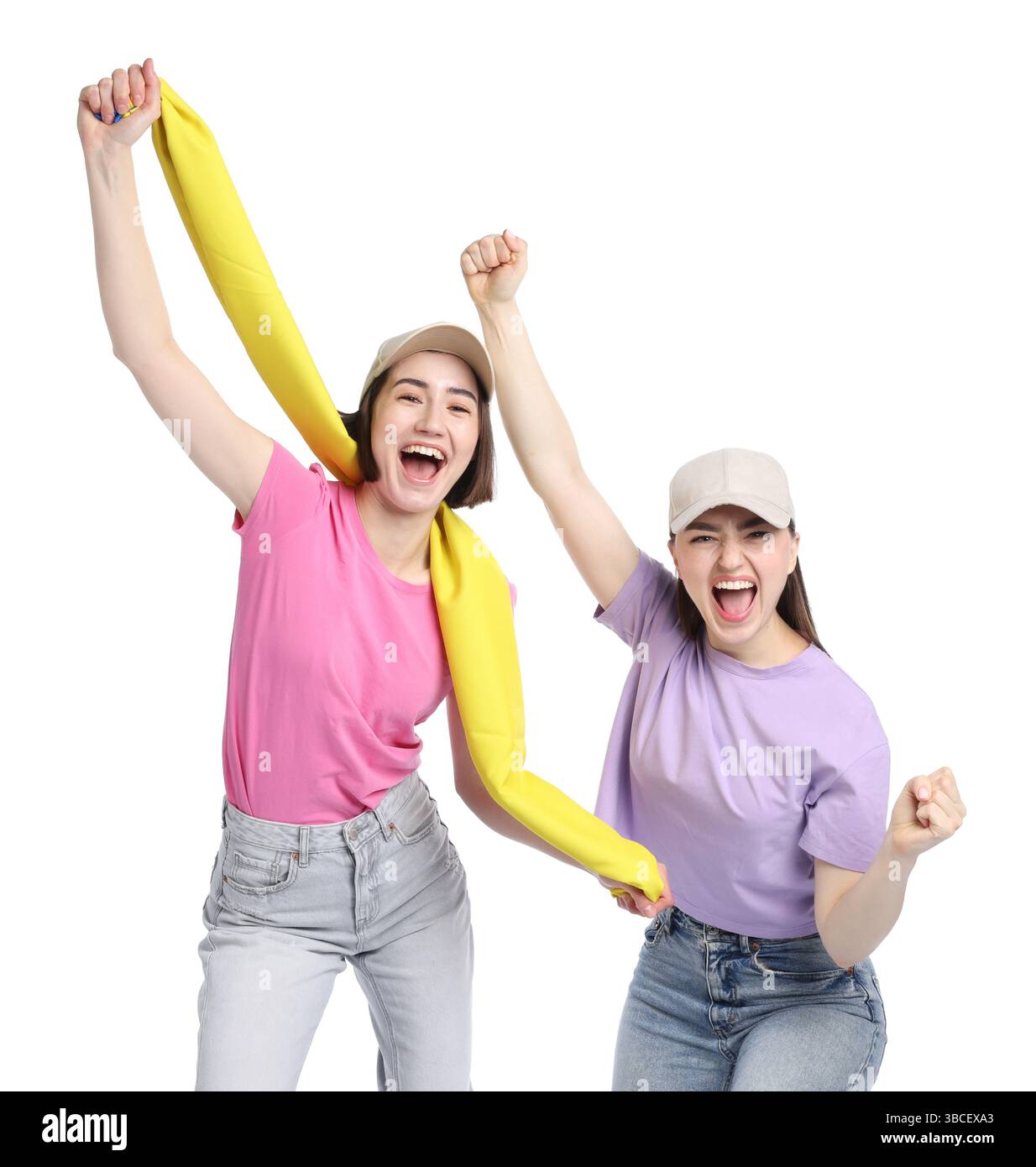 Team sports leadership Cut Out Stock Images & Pictures - Alamy