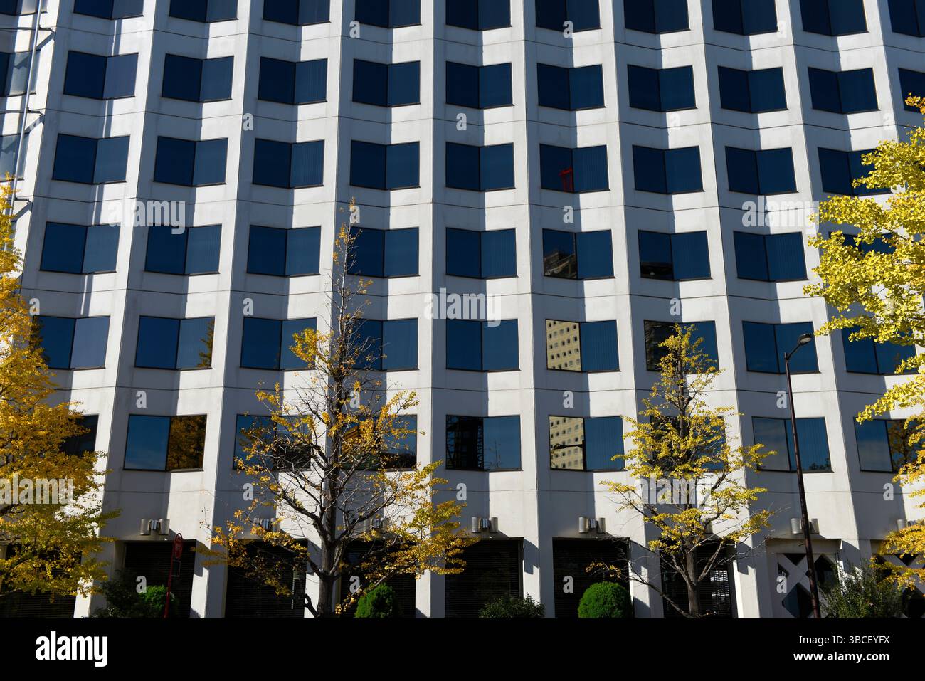 A building in Tokyo,Honshu,Japan,Asia Stock Photo - Alamy