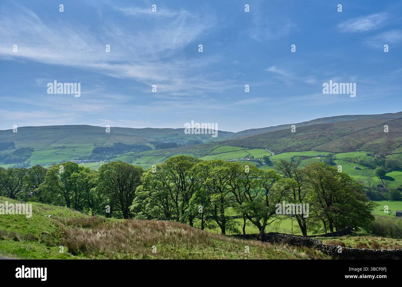 Swaledale near Gunnerside, Yorkshire Dales, North Yorkshire Stock Photo ...